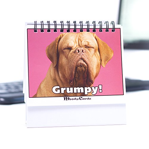 Office Gift for Dog Lovers - Moodycards! Make Everyone Laugh with These Adorable and Hilarious Dog Memes - Let The Dogs Tell Everyone How You Feel! A Terrific Office Gift! 25 Different Moods