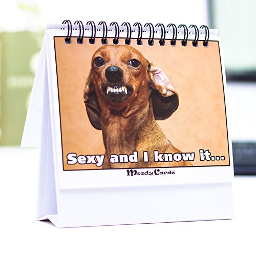 Office Gift for Dog Lovers - Moodycards! Make Everyone Laugh with These Adorable and Hilarious Dog Memes - Let The Dogs Tell Everyone How You Feel! A Terrific Office Gift! 25 Different Moods