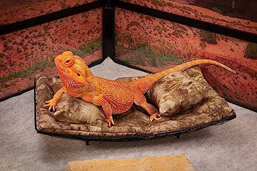 Chaise Lounge for Bearded Dragons, Brown Batik Fabric