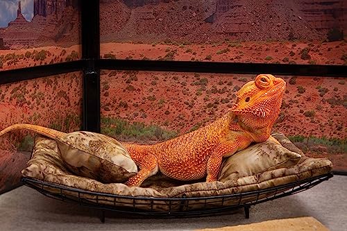 Chaise Lounge for Bearded Dragons, Brown Batik Fabric