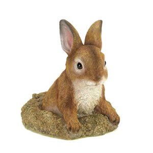 home locomotion curious bunny garden decor