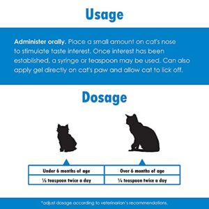 Felisyl L-Lysine Gel for Cats - Immune System Support - Supplement Support for Healthy Tissue, Respiratory, and Vision - Salmon-Flavored - Made in The USA - 5 oz