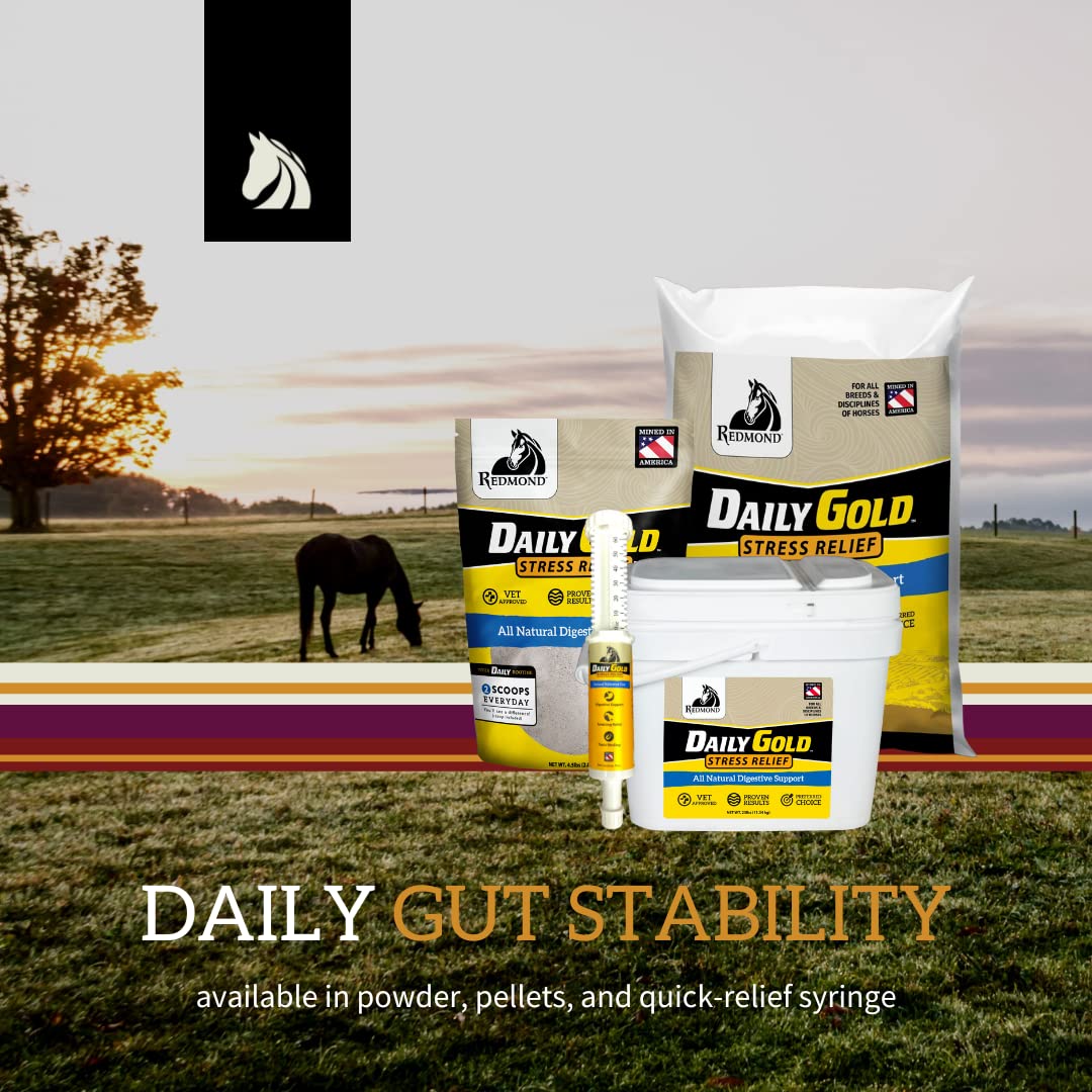 Daily Gold Stress Relief – Natural Digestive and Ulcer Supplement for Horses