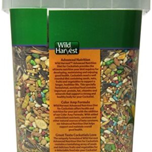 Wild Harvest WH-83541 Wild Harvest Advanced Nutrition Diet for Cockatiels, 4.5-Pound