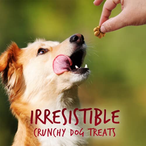 Fruitables Greek Yogurt Dog Treats – Healthy Dog Treats – Yogurt Treats for Dogs - Strawberry and Pumpkin Flavor – 7 Ounces