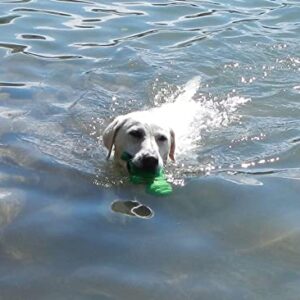 Cycle Dog Small Fuchsia 3-Play Turtle Dog Toy with Ecolast Recycled Material - Tough & Sustainable Chew Toy for Dogs & Puppies/Treat Dispenser/Floats Above Water/Indestructible for Aggressive Chewers