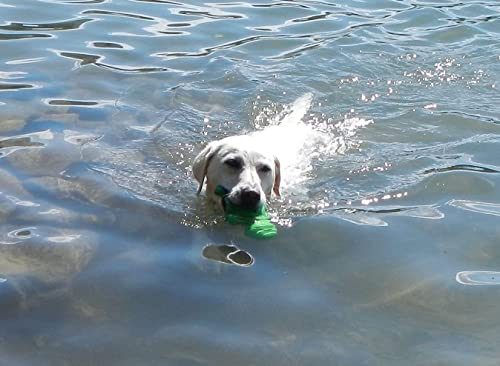 Cycle Dog Small Fuchsia 3-Play Turtle Dog Toy with Ecolast Recycled Material - Tough & Sustainable Chew Toy for Dogs & Puppies/Treat Dispenser/Floats Above Water/Indestructible for Aggressive Chewers