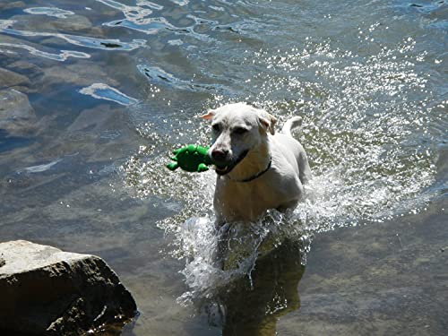 Cycle Dog Small Fuchsia 3-Play Turtle Dog Toy with Ecolast Recycled Material - Tough & Sustainable Chew Toy for Dogs & Puppies/Treat Dispenser/Floats Above Water/Indestructible for Aggressive Chewers