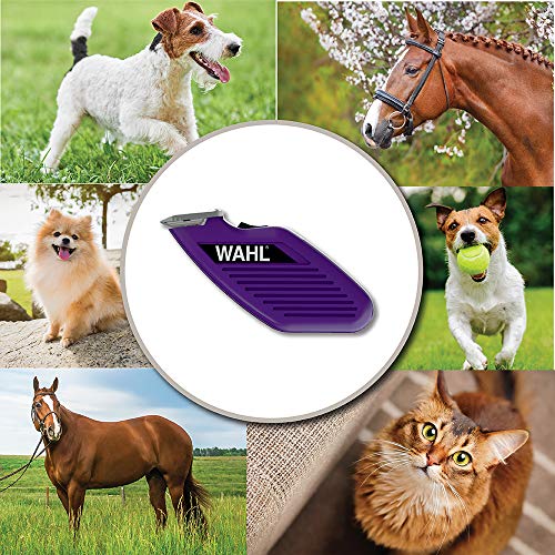 WAHL Professional Animal Pocket Pro Equine Compact Horse Trimmer and Grooming Kit, Purple (#9861-930)