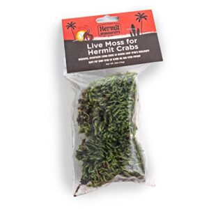 fluker's live moss for hermit crabs, 0.7oz green