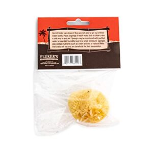 Fluker's Natural Sea Sponge for Hermit Crabs