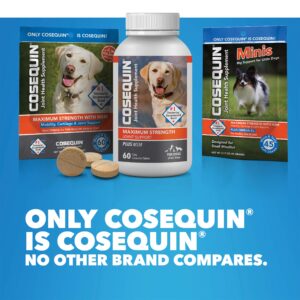 Nutramax Cosequin Maximum Strength Joint Health Supplement for Dogs - With Glucosamine, Chondroitin, and MSM, 2 Pack, 264 Total Chewable Tablets