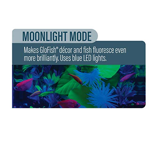 GloFish LED Light 5 Gallons, Blue and White LED Lights, for Aquariums Up to 5 Gallons, Model:29028