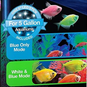 GloFish LED Light 5 Gallons, Blue and White LED Lights, for Aquariums Up to 5 Gallons, Model:29028