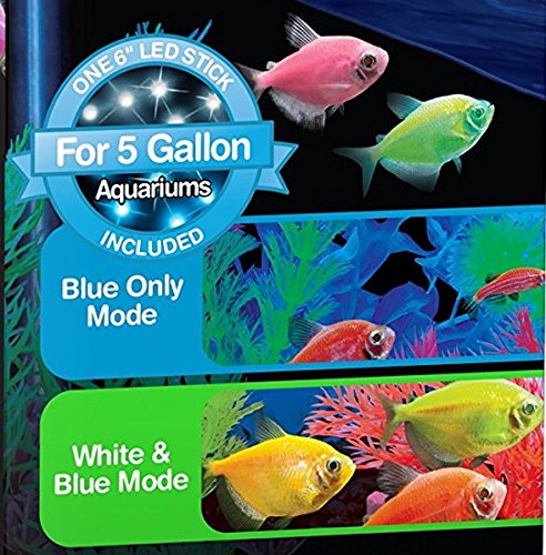 GloFish LED Light 5 Gallons, Blue and White LED Lights, for Aquariums Up to 5 Gallons, Model:29028