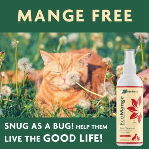 EcoMange Mange Relief for Dogs & Cats – 8 Oz. Cat & Dog Itch Relief, Sarcoptic & Demodectic Mite Spray – Herbal Extract & Essential Oil Itch Relief for Dogs – Natural Cat & Dog Sprays by Vet Organics