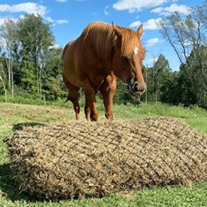 Derby Originals 90" X-Large Slow Feed Hay Bale Net Holds 1-2 Full Bales of Hay for Horses and Goats