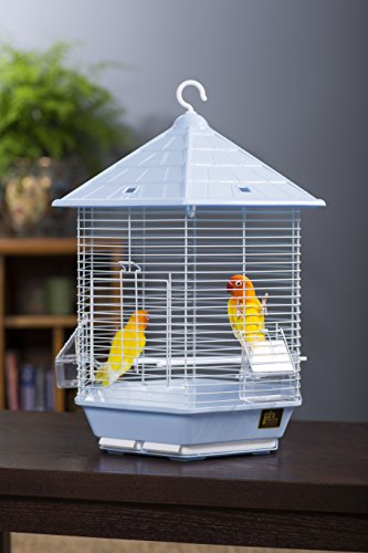 Prevue Pet Products SP31998LIGHTBLUE Copacabana Bird Cage, Light Blue