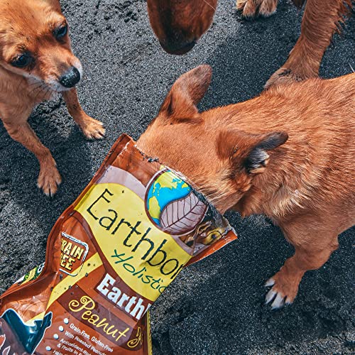 Earthborn Holistic EarthBites Peanut Flavor Grain-Free Moist Treats for Dogs, 7.5 Ounce Bag