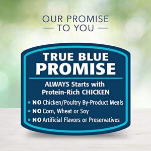 Blue Buffalo Freedom Grain Free Natural Senior Wet Dog Food, Chicken 12.5oz cans (Pack of 12)