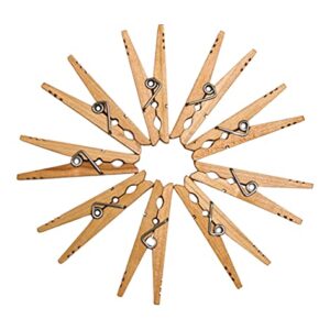 Kevin's Quality Clothespins Set of 30