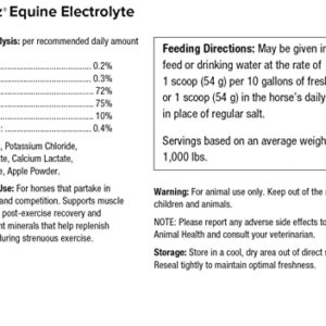 UltraCruz-364849 Equine Electrolyte Supplement for Horses, 5 lb, Powder (40 Day Supply)