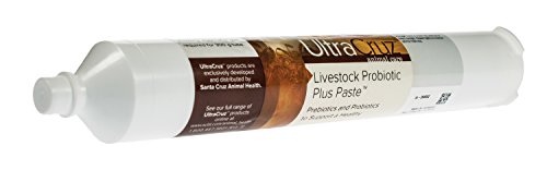 UltraCruz - sc-394582 Livestock Probiotic Supplement, 300 ml, Paste (20 Day Supply)