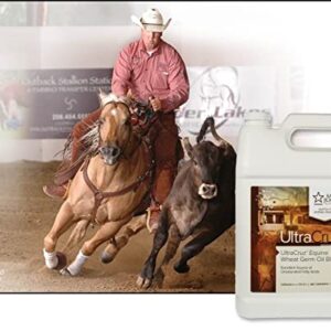 UltraCruz Wheat Germ Oil Blend Supplement for Horses and Livestock, 1 Gallon (125 Day Supply)