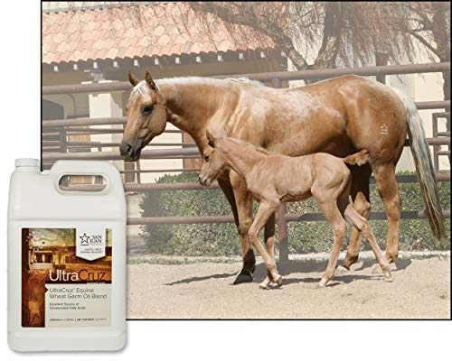 UltraCruz Wheat Germ Oil Blend Supplement for Horses and Livestock, 1 Gallon (125 Day Supply)