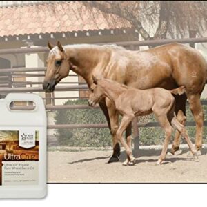 UltraCruz-sc-395355 Pure Wheat Germ Oil Supplement for Horses and Livestock, 1 Gallon