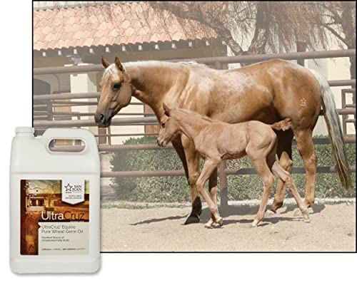 UltraCruz-sc-395355 Pure Wheat Germ Oil Supplement for Horses and Livestock, 1 Gallon