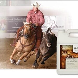 UltraCruz-sc-395355 Pure Wheat Germ Oil Supplement for Horses and Livestock, 1 Gallon