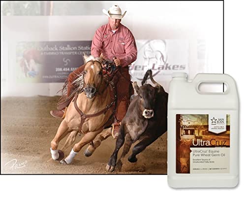 UltraCruz-sc-395355 Pure Wheat Germ Oil Supplement for Horses and Livestock, 1 Gallon