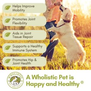 Wholistic Pet Organics - Dog Joint Supplement: Joint Mobility with Green Lipped Mussel - 1 Lb - Dogs Hip and Joint Support Supplement - Glucosamine Chondroitin for Dogs with MSM, Vitamins & Minerals