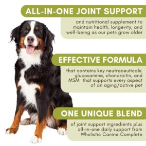 Wholistic Pet Organics - Dog Joint Supplement: Joint Mobility with Green Lipped Mussel - 1 Lb - Dogs Hip and Joint Support Supplement - Glucosamine Chondroitin for Dogs with MSM, Vitamins & Minerals