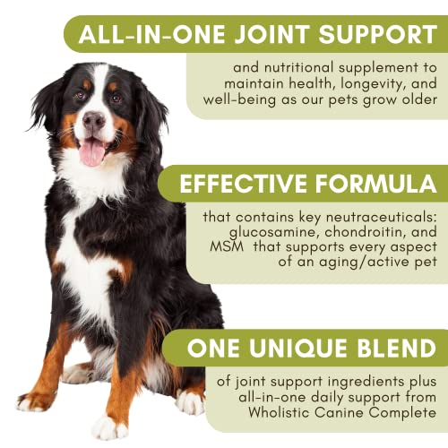 Wholistic Pet Organics - Dog Joint Supplement: Joint Mobility with Green Lipped Mussel - 1 Lb - Dogs Hip and Joint Support Supplement - Glucosamine Chondroitin for Dogs with MSM, Vitamins & Minerals