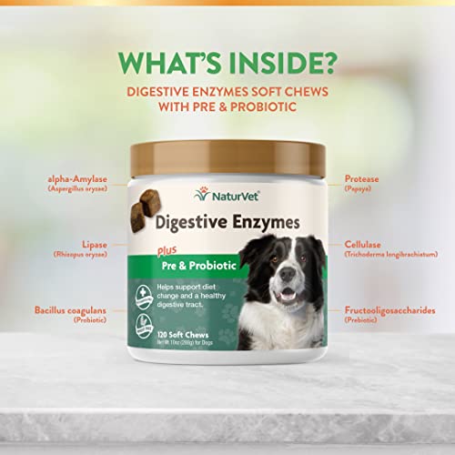 NaturVet – Digestive Enzymes - Plus Probiotics & Prebiotics – Helps Support Diet Change & A Healthy Digestive Tract – for Dogs & Cats (Soft Chews, 120 Count)