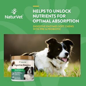 NaturVet – Digestive Enzymes - Plus Probiotics & Prebiotics – Helps Support Diet Change & A Healthy Digestive Tract – for Dogs & Cats (Soft Chews, 120 Count)