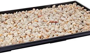 Brussel's 13" Humidity Tray with Decorative Rocks