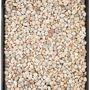 Brussel's 13" Humidity Tray with Decorative Rocks