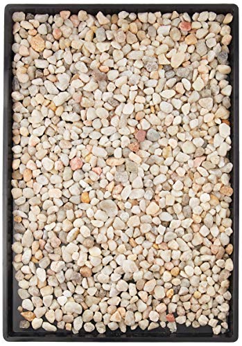 Brussel's 13" Humidity Tray with Decorative Rocks