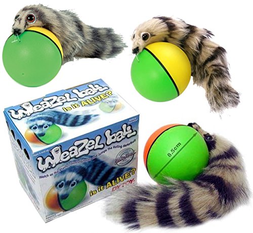 D.Y.TOY Weazel Ball - 3 Pack - Battery Operated Toy for Kids, Adults, Dogs or Cats All Breeds