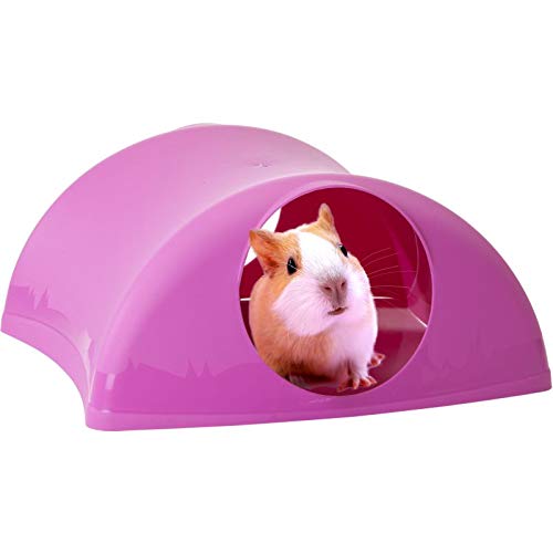 Lixit Igloos and Hideaways for Guinea Pigs, Rats, Mice, Hamsters, Gerbils and Other Small Animals (Large Hollow)