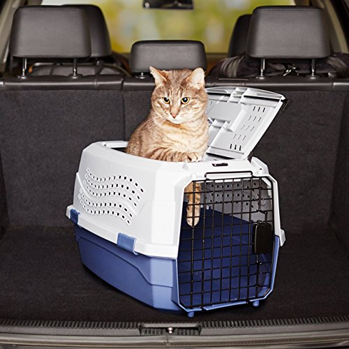 Amazon Basics 2-Door Top Load Hard Sided Dog and Cat Kennel Travel Carrier, 23-Inch, Gray & Blue