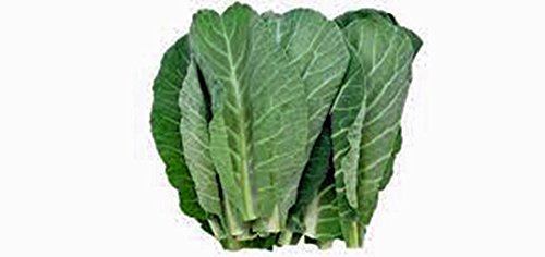 Collard Greens Seeds, Georgia Southern, Heirloom, 100 Seeds, Non GMO