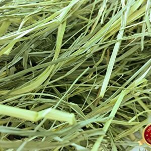 Rabbit Hole Hay Ultra Premium, Hand Packed Medium Timothy Hay for Your Small Pet Rabbit, Chinchilla, or Guinea Pig (40lb)