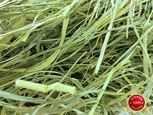 Rabbit Hole Hay Ultra Premium, Hand Packed Medium Timothy Hay for Your Small Pet Rabbit, Chinchilla, or Guinea Pig (40lb)