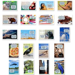 FUN FACTS postcard set of 20. Post card variety pack with trivia and fun fact theme postcards. Made in USA.