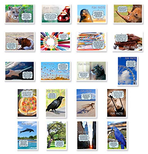 FUN FACTS postcard set of 20. Post card variety pack with trivia and fun fact theme postcards. Made in USA.