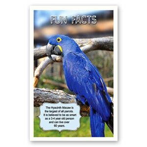 FUN FACTS postcard set of 20. Post card variety pack with trivia and fun fact theme postcards. Made in USA.